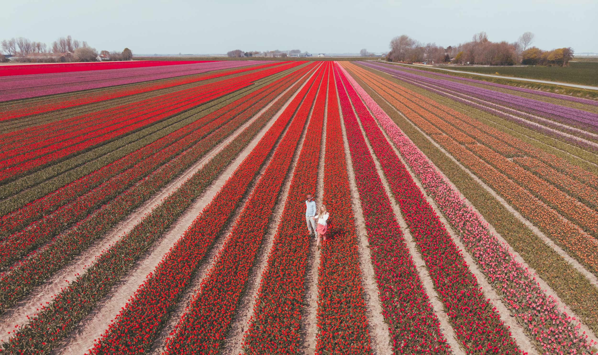 travelinyourarms – Tulip Season in the Netherlands – best spots in Zeeland