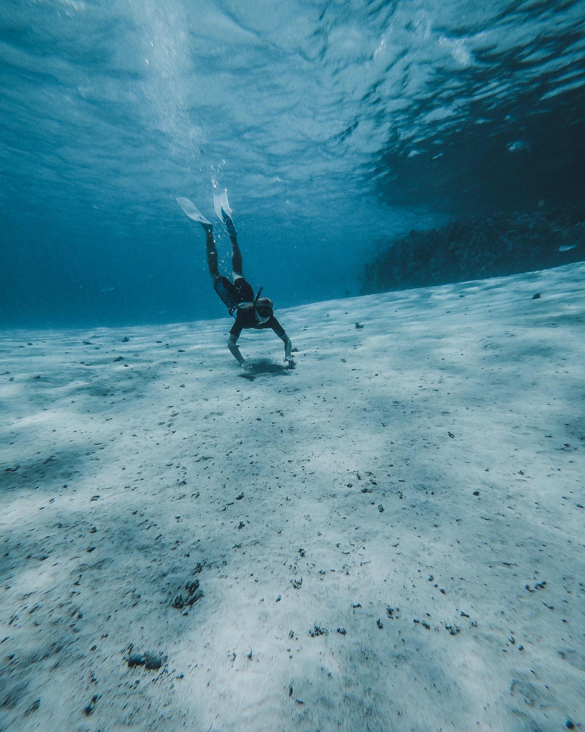 travelinyourarms – Go Diving or Snorkeling near Marsa Alam