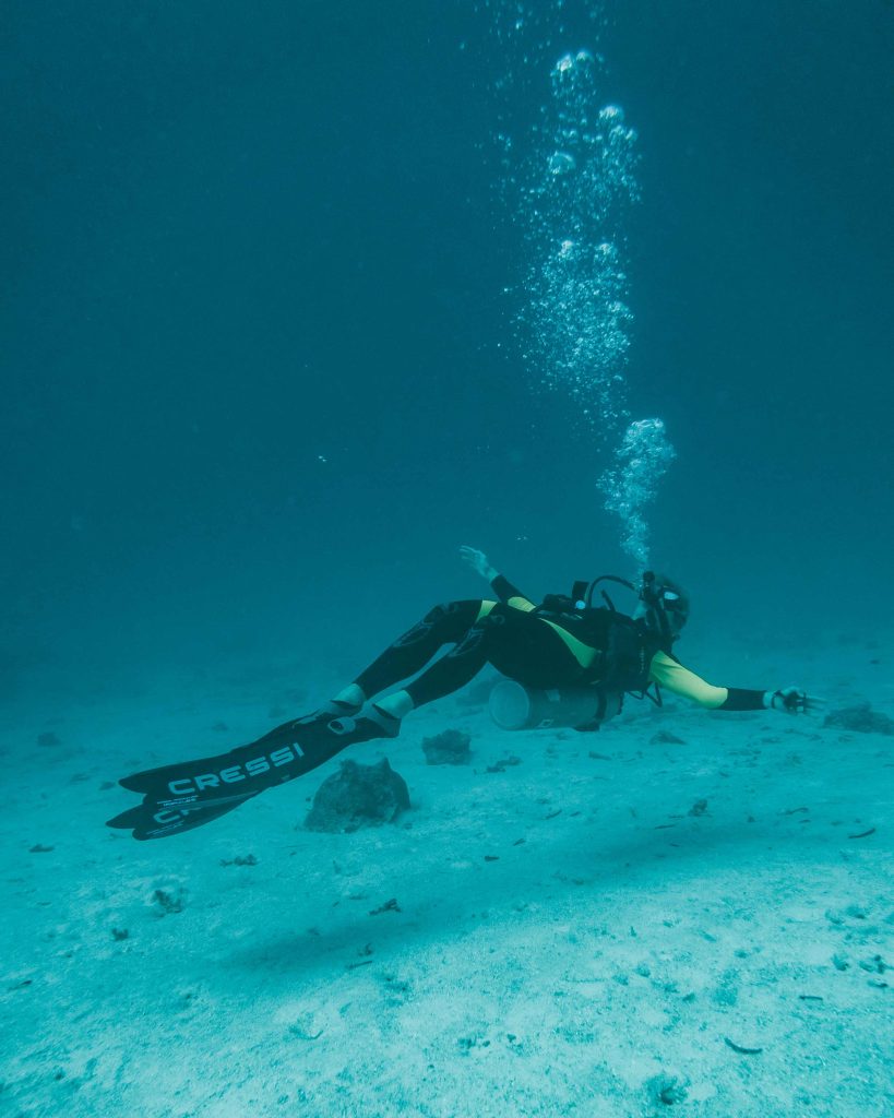 travelinyourarms – Explore the reefs of Panglao on Bohol Island